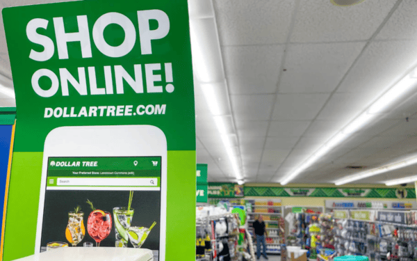 Dollar Tree Online Shopping Review: Pros, Cons & Tips